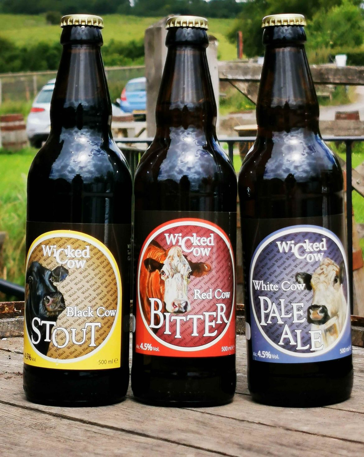 Mixed Case Beer | Gwatkin Cider | Award Winning Traditional Farmhouse ...